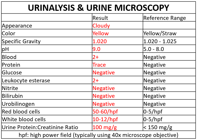 Case 32: Diagnostic Testing